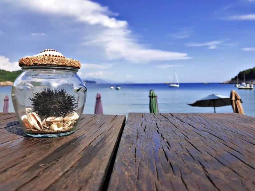 From Dubrovnik: Full-Day Private Boat Tour of Elafiti Island - Price and Value Analysis