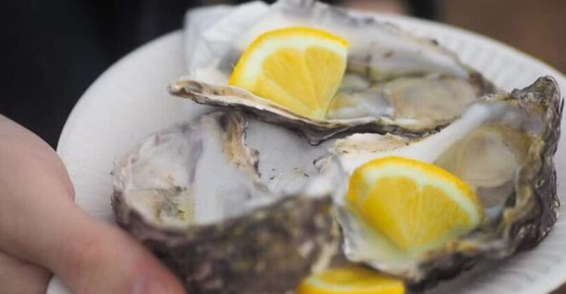 From Dubrovnik: Full-Day Tour to Ston & Oyster Tasting - Who Will Love This Tour?