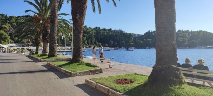 From Dubrovnik: Half-Day Wine Tasting and Cavtat City Tour - The Experience in Detail