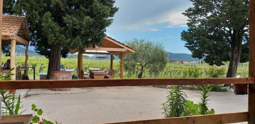From Dubrovnik: Half-Day Wine Tasting and Cavtat City Tour - FAQs