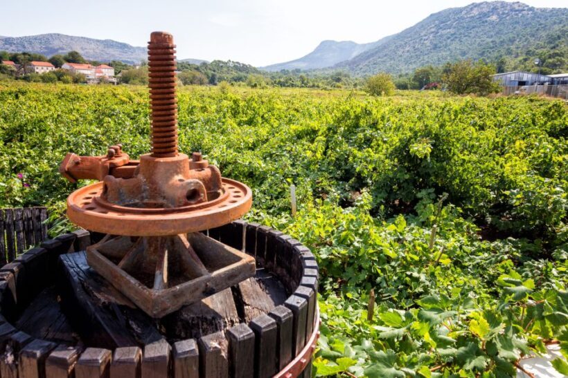 From Dubrovnik: Island of Korula with wine tasting - Who Will Love This Tour?