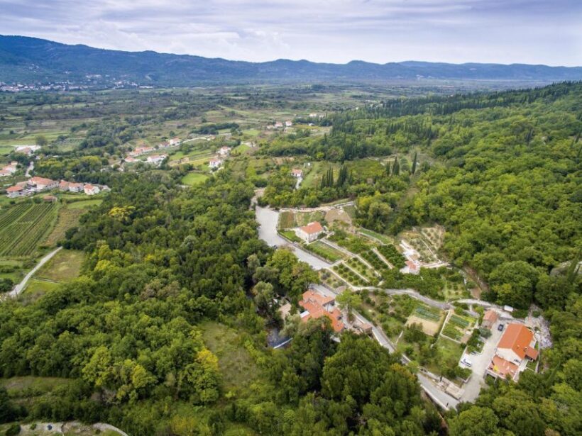 From Dubrovnik Konavle wine tasting tour and Cavtat - Analyzing the Value