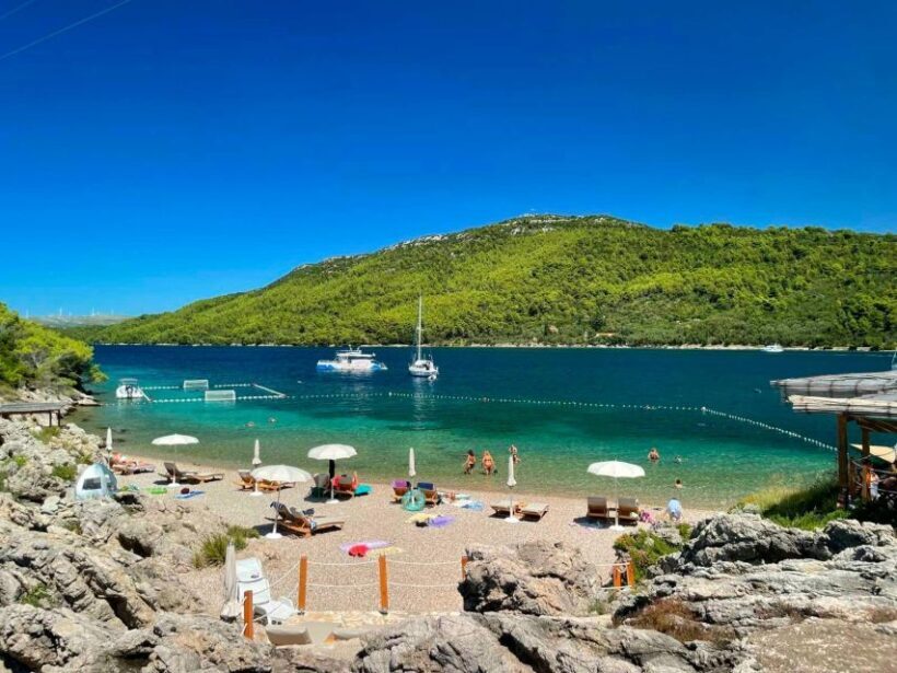From Dubrovnik: Mljet National Park & Elaphiti Islands Trip - A Deep Dive into the Itinerary and Experience