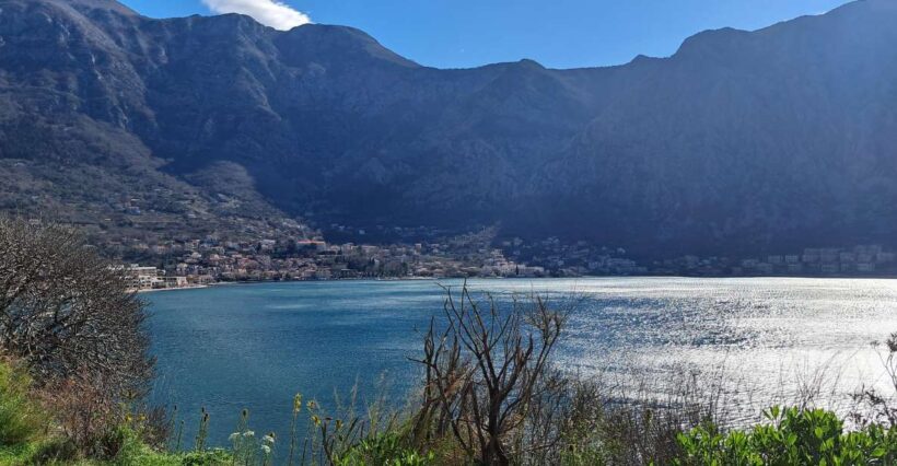 From Dubrovnik: Montenegro Full-Day Tour - Transport and Comfort