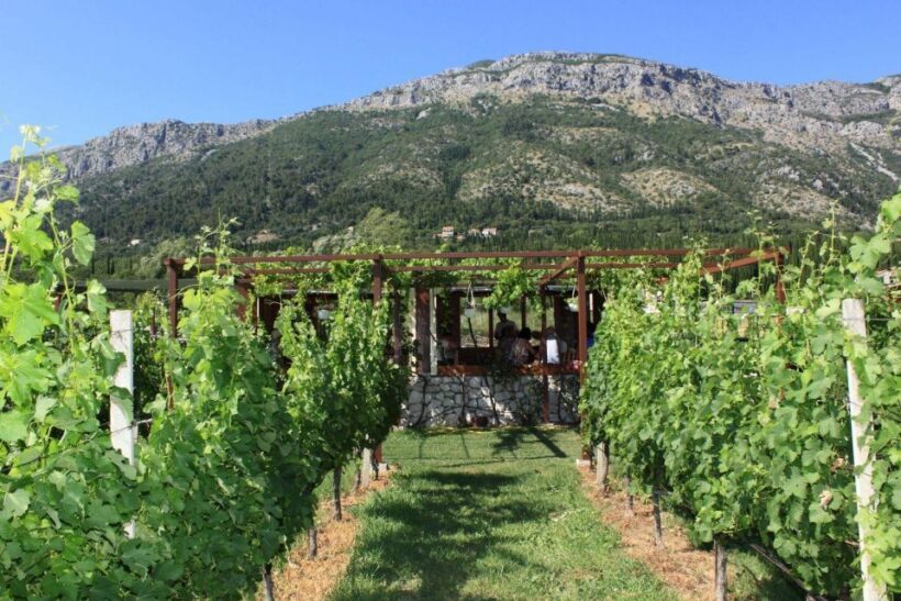 From Dubrovnik Oyster and Wine Tasting Tour in Ston Bay - FAQ