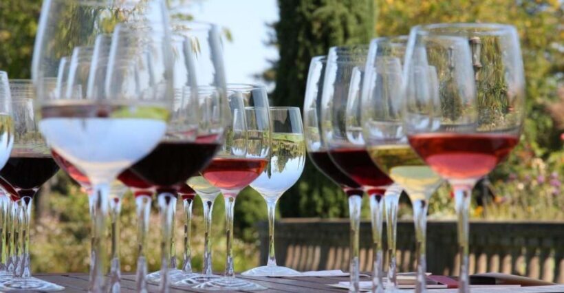 From Dubrovnik Private Wine Tasting Tour - A Detailed Look at the Tour