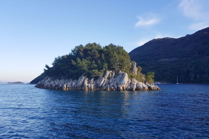 From Dubrovnik: Pvt Speedboat Cruise to Mljet&Sipanska Luka - The Experience: What You Will Enjoy and What to Consider