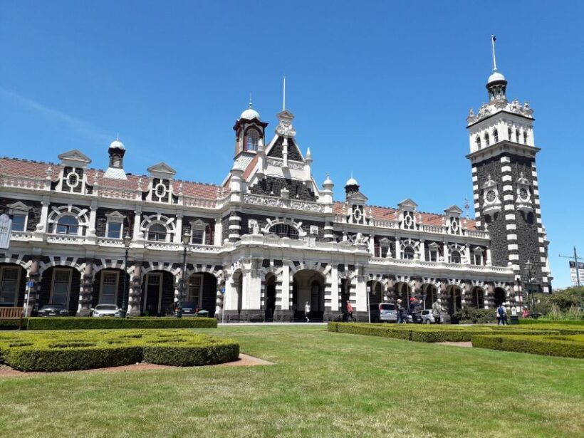 From Dunedin: City, Otago Peninsula & Albatross Guided Tour - An In-Depth Look at the Dunedin, Otago Peninsula & Albatross Experience