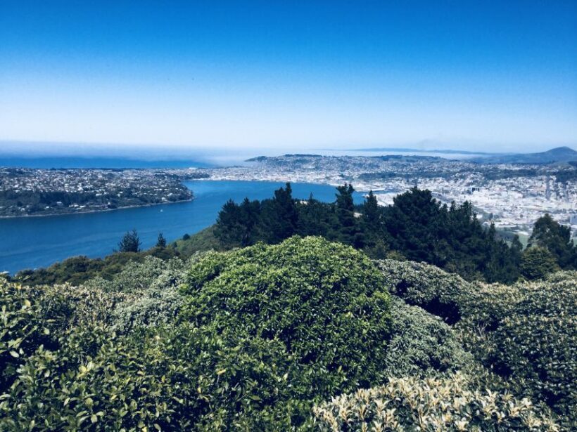 From Dunedin: City, Otago Peninsula & Albatross Guided Tour - Reaching the Royal Albatross Centre