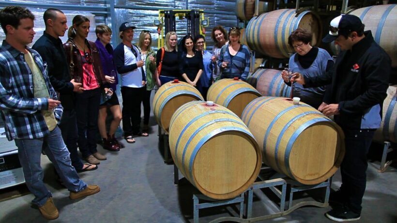 From Dunsborough/Busselton: Margaret River Wine Adventure - Final Thoughts