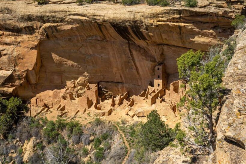 From Durango: Mesa Verde Express Tour & Cliff Palace Ticket - Introduction: Is the Mesa Verde Express Tour Right for You?