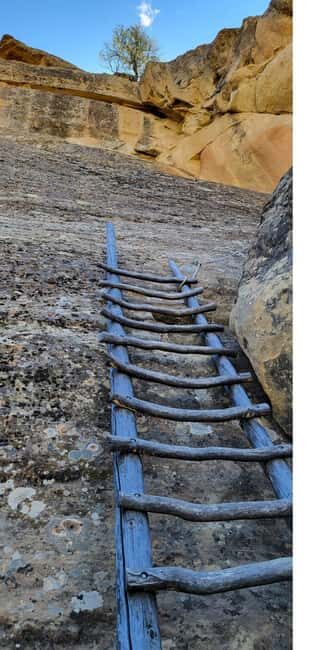 From Durango: Mesa Verde Express Tour & Cliff Palace Ticket - Who Will Love This Tour?
