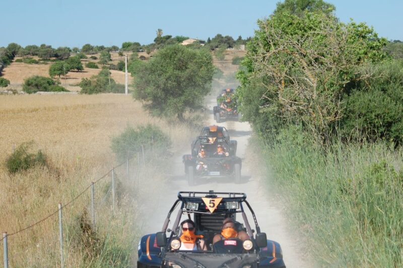 From East Mallorca: Guided Beach and Mountain Buggy Tour - The Sum Up