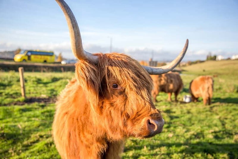 From Edinburgh: Isle of Skye & Highlands 3-Day Guided Tour - Final Thoughts