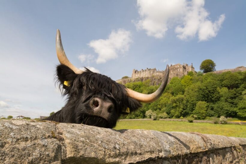 From Edinburgh: Loch Lomond, Stirling Castle & Kelpies Tour - FAQ