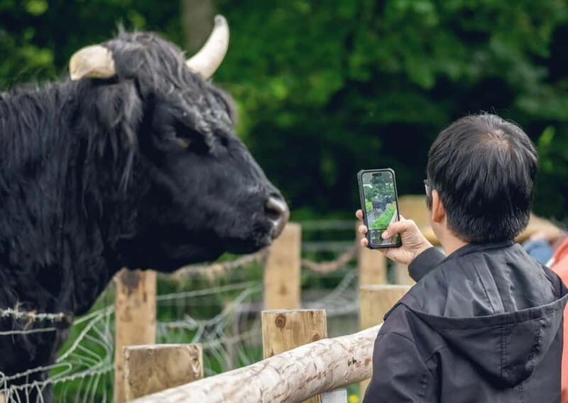 From Edinburgh: Stirling Castle, Kelpies and Loch Lomond - Pricing and Value