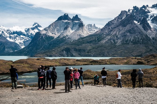 From El Calafate: Full-Day Tour to Torres Del Paine - Transport, Guides, and Amenities