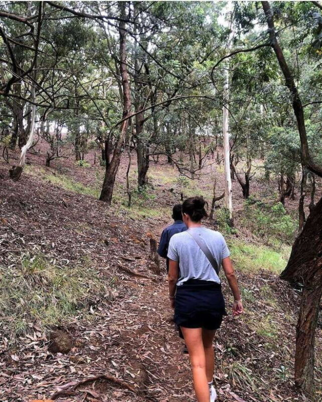 From Ella- All Inclusive Day Trip to Experience Ella & Train - Adventure and Relaxation: Ziplining and Little Adam’s Peak