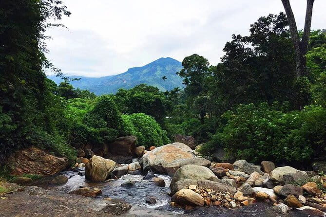From Ella - Day Excursion to Yala National Park - Practicalities and Tips for the Tour