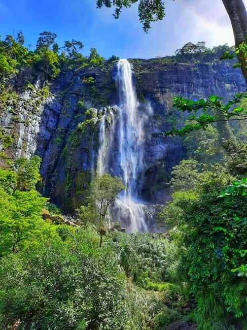 From Ella: Diyaluma Waterfall and Natural Pool Bath Tour - Key Points