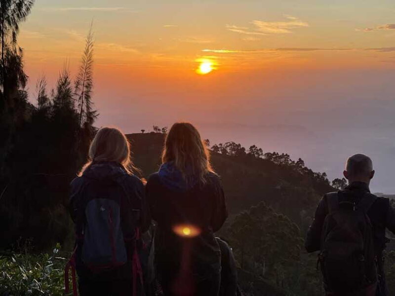 From Ella: Lipton Seat & Dambatenne Tea Factory Day Tour - Final Thoughts