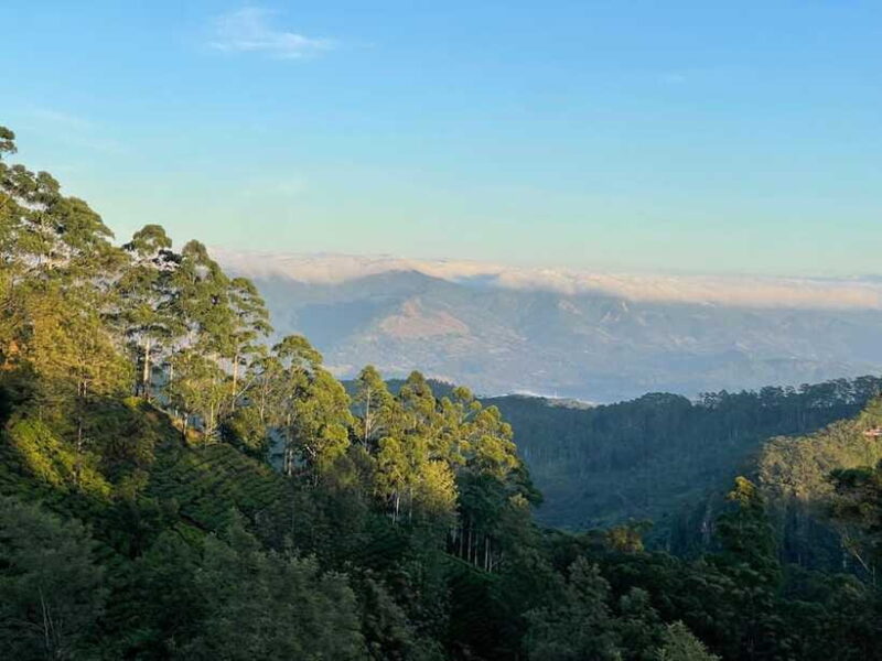 From Ella: Lipton Seat & Dambatenne Tea Factory Day Tour - FAQ