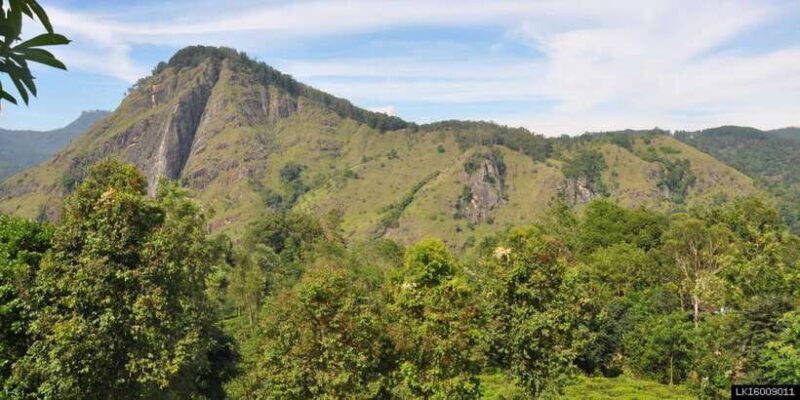 From Ella: Little Adams Peak and Nine Arches Bridge Hiking - Key Points