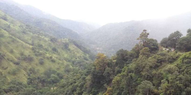 From Ella: Little Adams Peak and Nine Arches Bridge Hiking - Who Is This Tour Best Suited For?