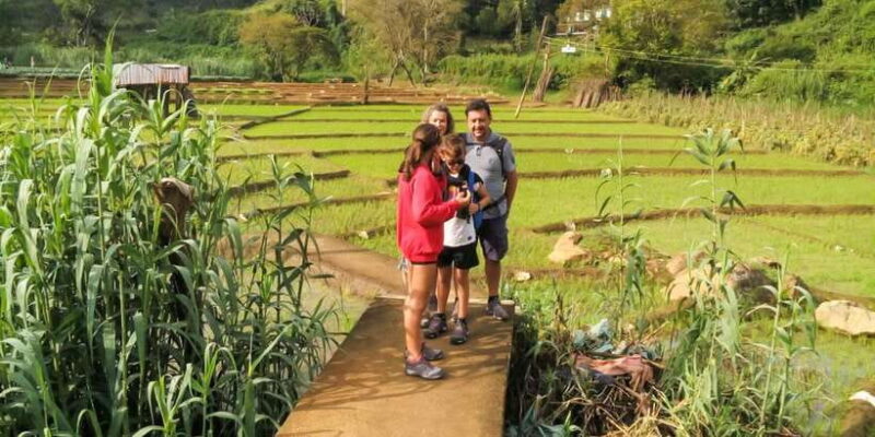 From Ella: Little Adams Peak and Nine Arches Bridge Hiking - FAQ