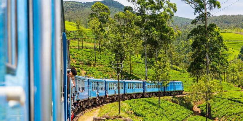From Ella or Bandarawela: Adisham Hall Senic Train Journey - Key Points