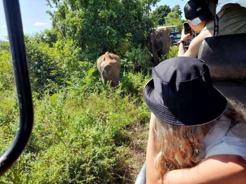 From Ella: Shuttle to Tangalle/Mirisa/Galle with Yala safari - Key Points