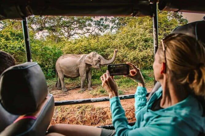 From Ella Shuttle to Tangalle/Mirissa/Galle with Yala Safari Tour - What the Tour’s Setup Means for You
