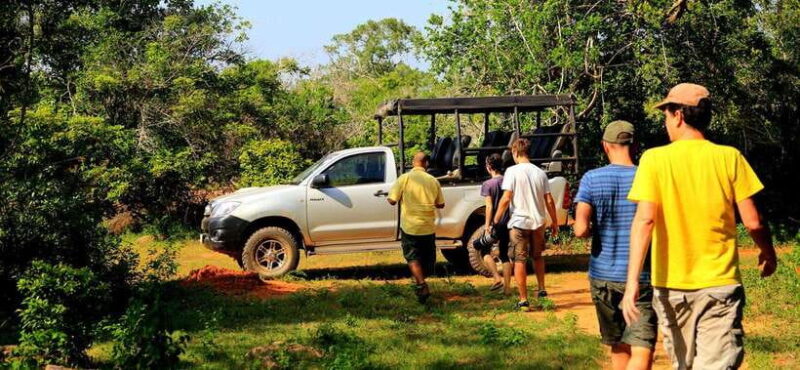 From Ella: Udawalawa Safari and Tangalle/Hiriketiya Transfer - Discovering the Udawalawa Safari and Transfer from Ella