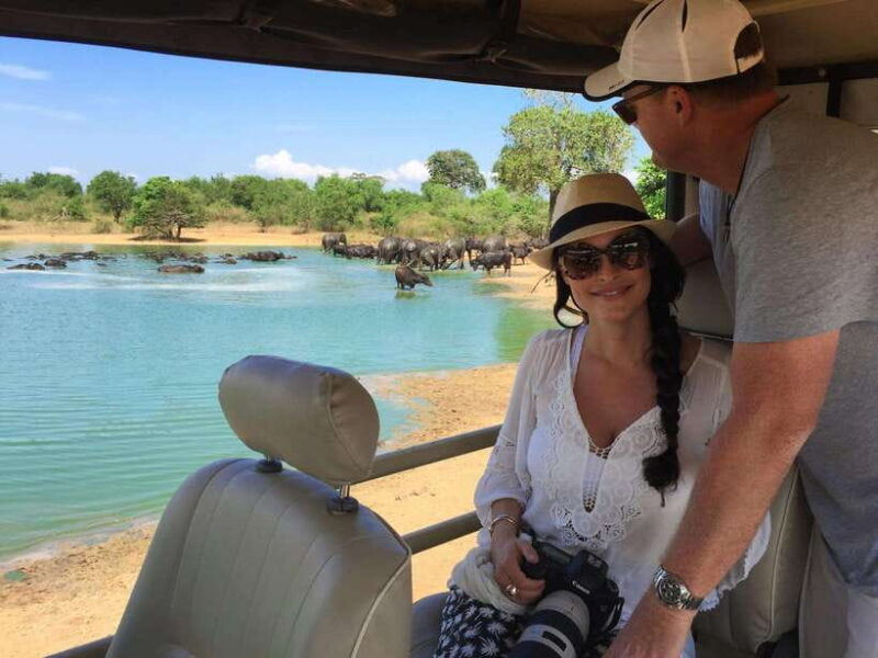 From Ella: Udawalawa Safari and Tangalle/Hiriketiya Transfer - The Value of the Experience