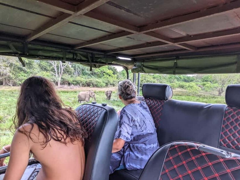 From Ella : Udawalawa Safari & Drop Tangalle/ Mirissa/ Galle - FAQ