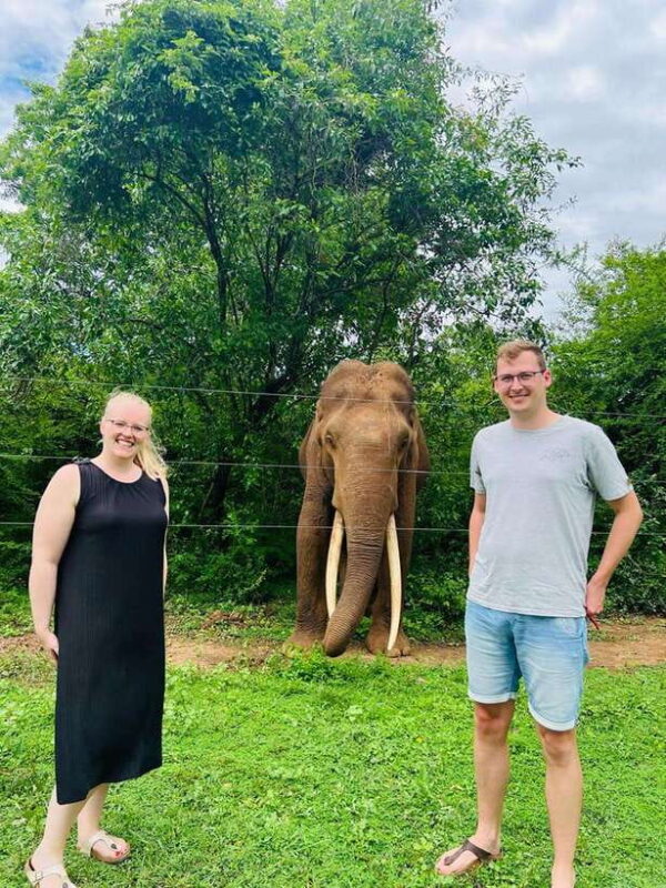 From Ella: Udawalawe National Park Safari with Elephant - Key Points