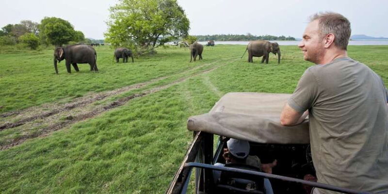From Ella: Udawalawe Safari with Elephant Transit Home - Key Points