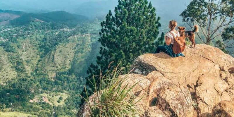 From Ella : Unforgettable Day trip to Experience Ella Peaks - Who Should Consider This Tour?