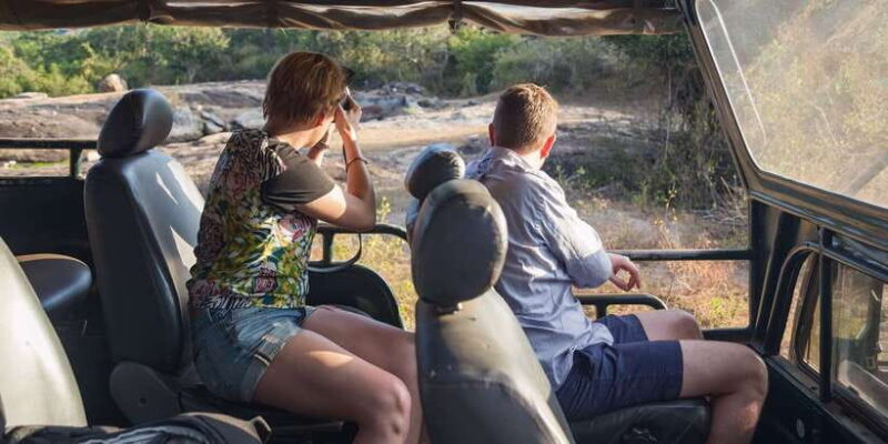 From Ella: Yala National Park Jeep Safari Tour - Price and Value Analysis