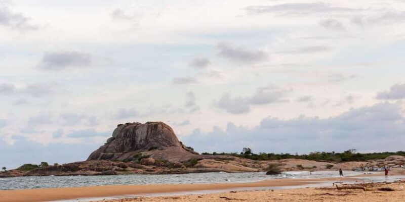 From Ella: Yala National Park Safari Tour in a 4x4 - Key Points