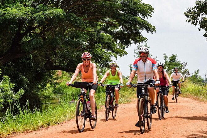 From Ella: YALA SAFARI TOUR & Galle/Mirissa/Tangalle transfer - Who Will Love This Tour?