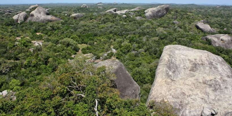 From Ella:Ravana Falls / Diyaluma Falls / Yala National Park - Why This Tour Offers Great Value