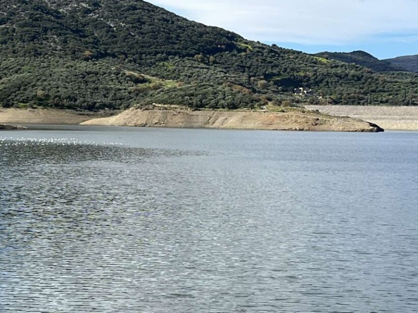 From Elounda Cretan Lasithi Plateau, Zeus Cave, Oldest Tree - The Sum Up — Is This Tour Right for You?