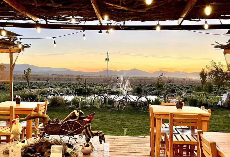 From Ensenada: Ojos Negros Valley Cheese & Wine Tasting Tour - Exploring Baja’s Ojos Negros Valley