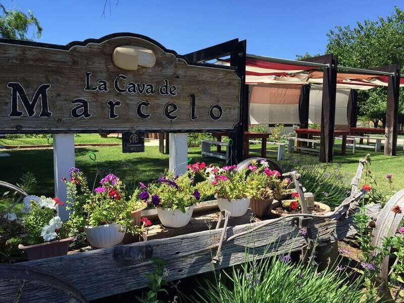 From Ensenada: Ojos Negros Valley Cheese & Wine Tasting Tour - Who Will Enjoy This Tour?