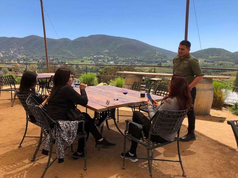 From Ensenada: Wine Tour at Guadalupe Valley Ensenada - The Experience Reviews: Authentic Feedback