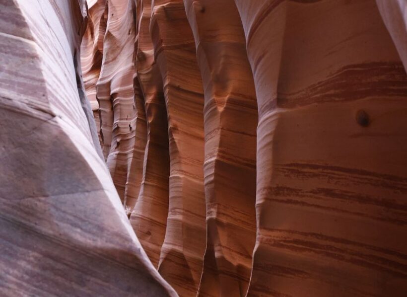 From Escalante: Zebra Slot Canyon Guided Tour and Hike - The Hike: Active, Challenging, and Rewarding