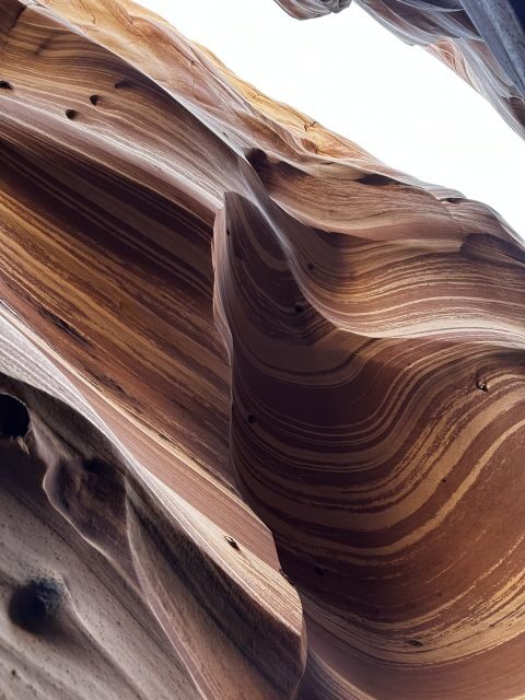 From Escalante: Zebra Slot Canyon Guided Tour and Hike - Authenticity and Value