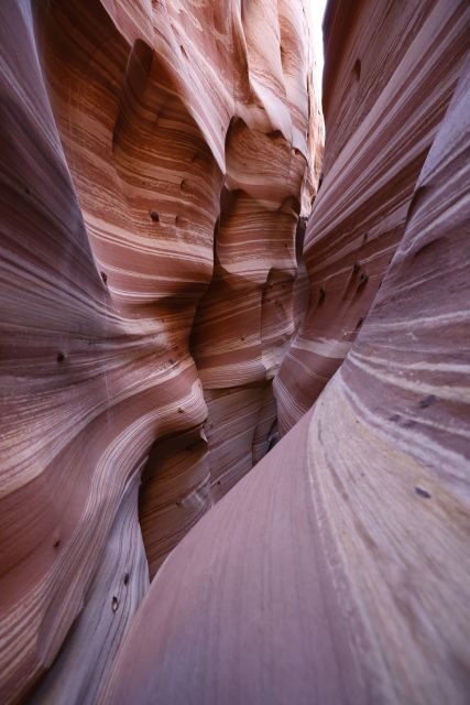 From Escalante: Zebra Slot Canyon Guided Tour and Hike - Who Is This Tour Best For?