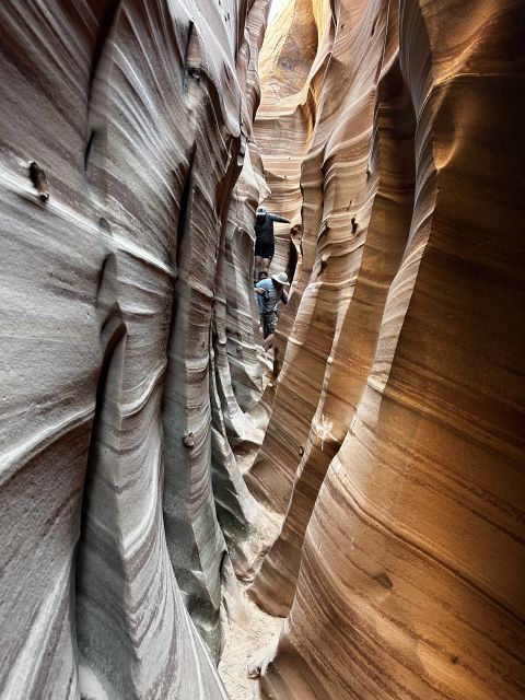 From Escalante: Zebra Slot Canyon Guided Tour and Hike - The Value for Money